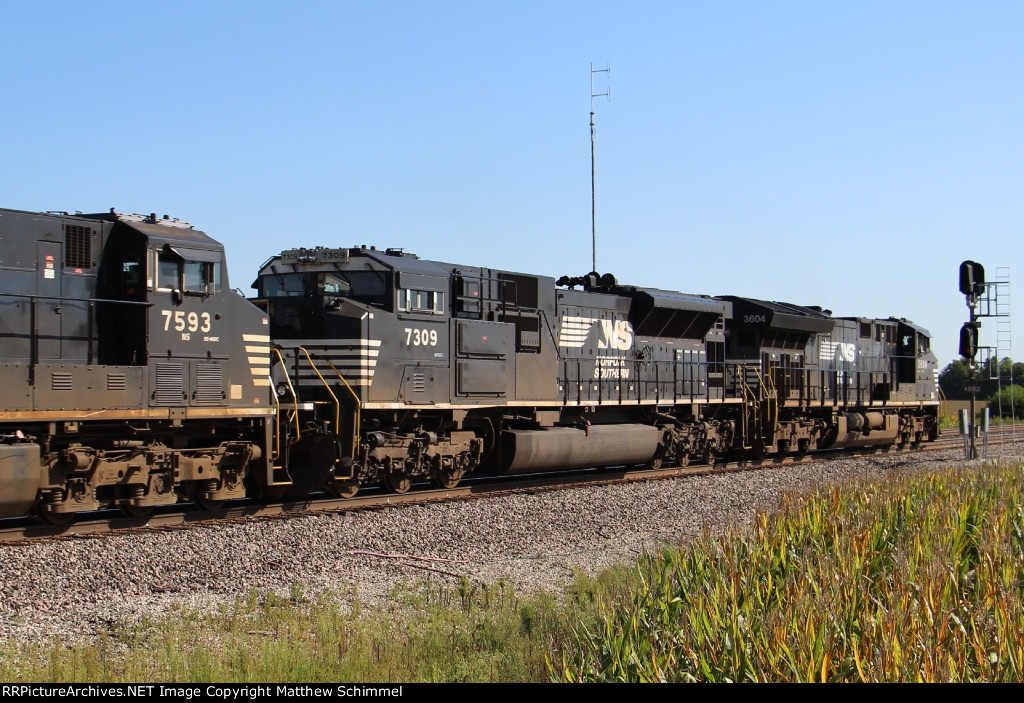 NS 7309